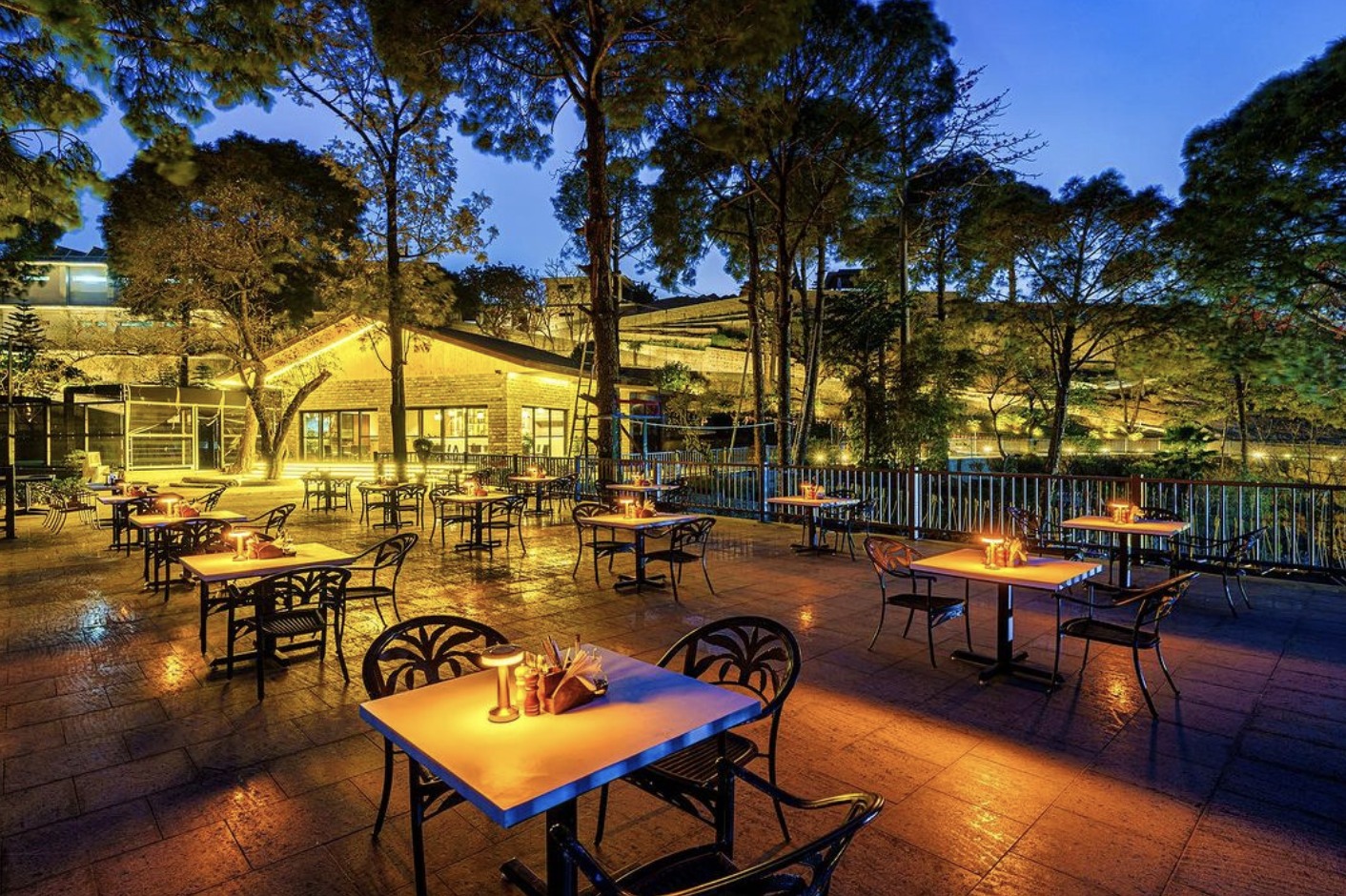 Luxury Resorts Near Parwanoo—Timber Trail Hotels