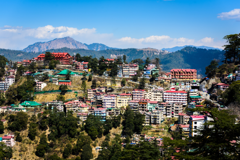 Best Places To Visit Near Kalka - Timber Trail