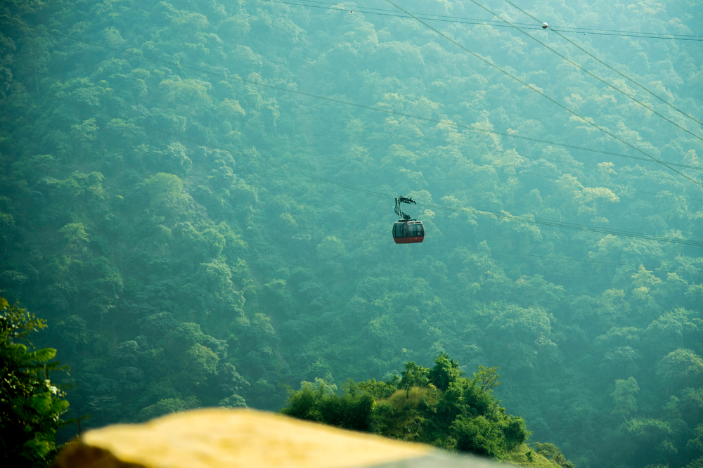 Experiences in the Foothills of Himalaya, Parwanoo | Timber Trail