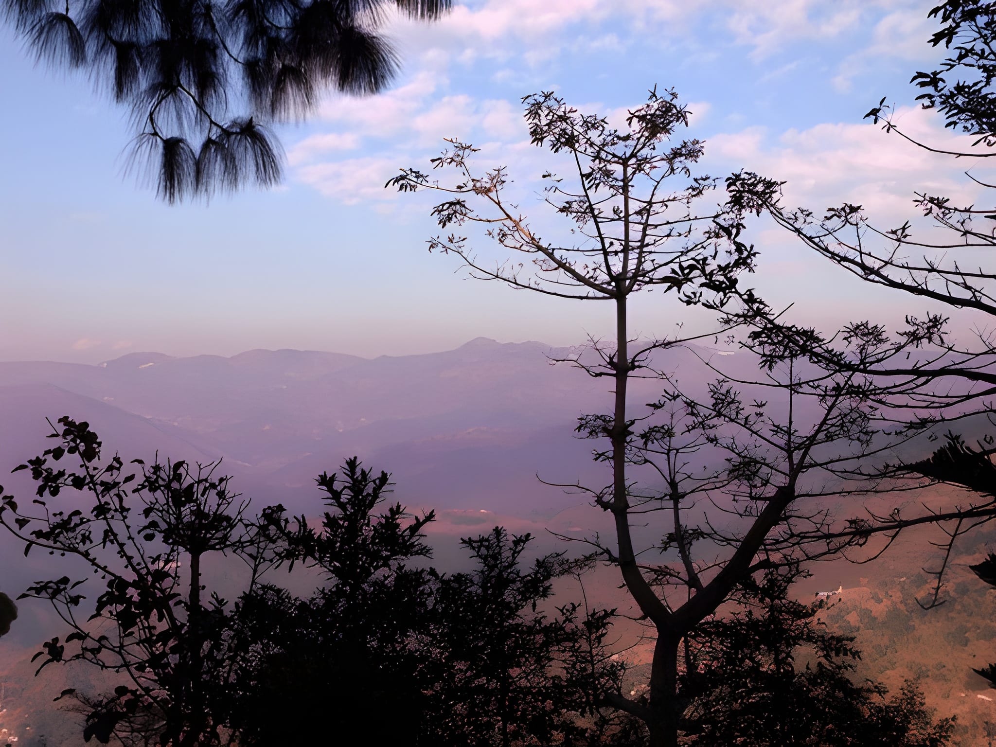 Timber Trail Heights Parwanoo Booking | Timber Trail Hotels & Resorts